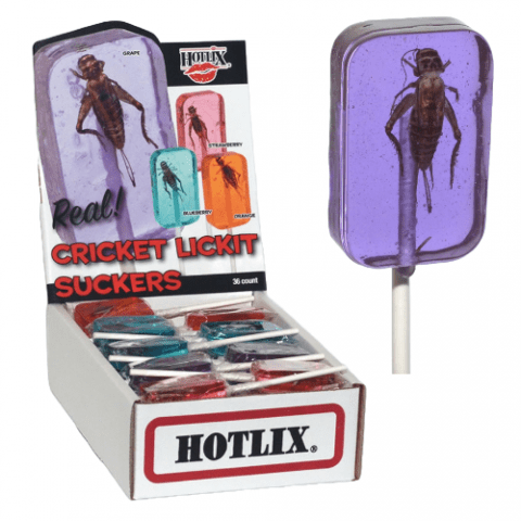 Discover America’s Most Daring Insect Candy Available