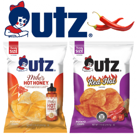Best Hot Chips In 2025, Ranked (Updated)