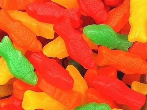 Sunrise Assorted JuJu Fish 1lb | Candy Retailer